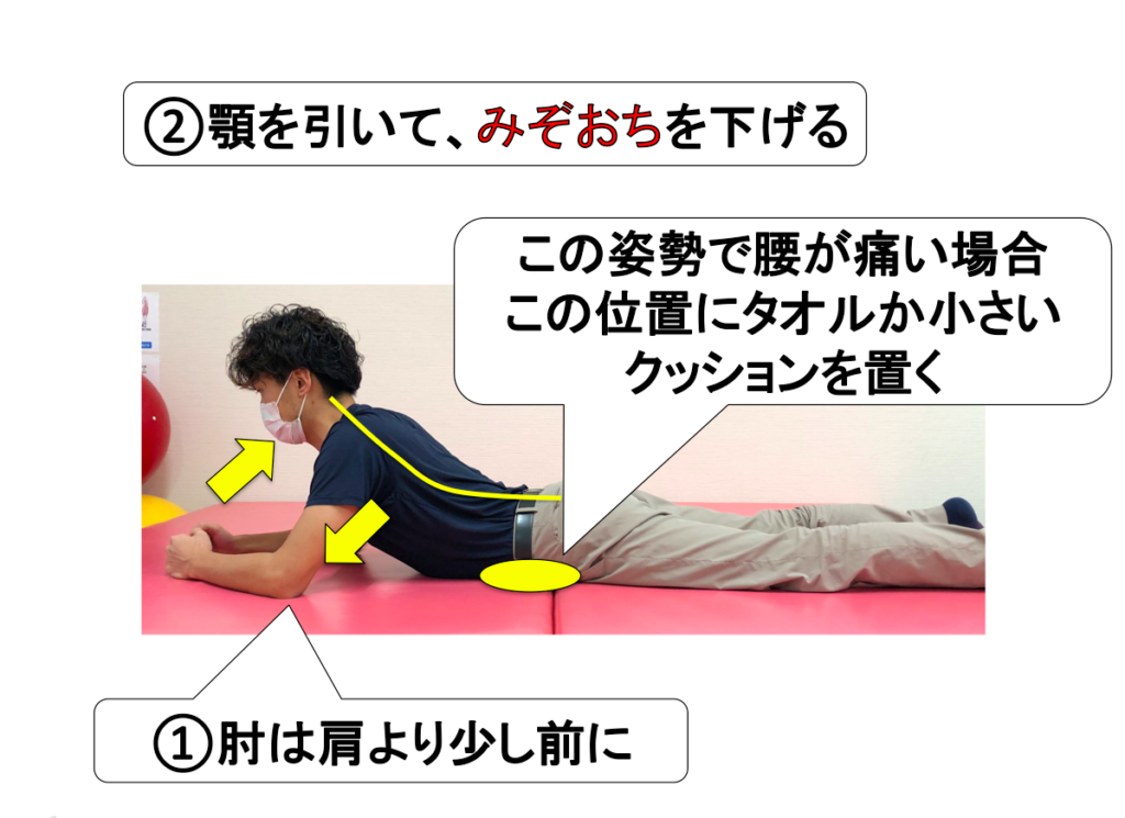 腰の付け根の痛みの原因と対処方法（椎間関節性腰痛） | 障害予防推進会